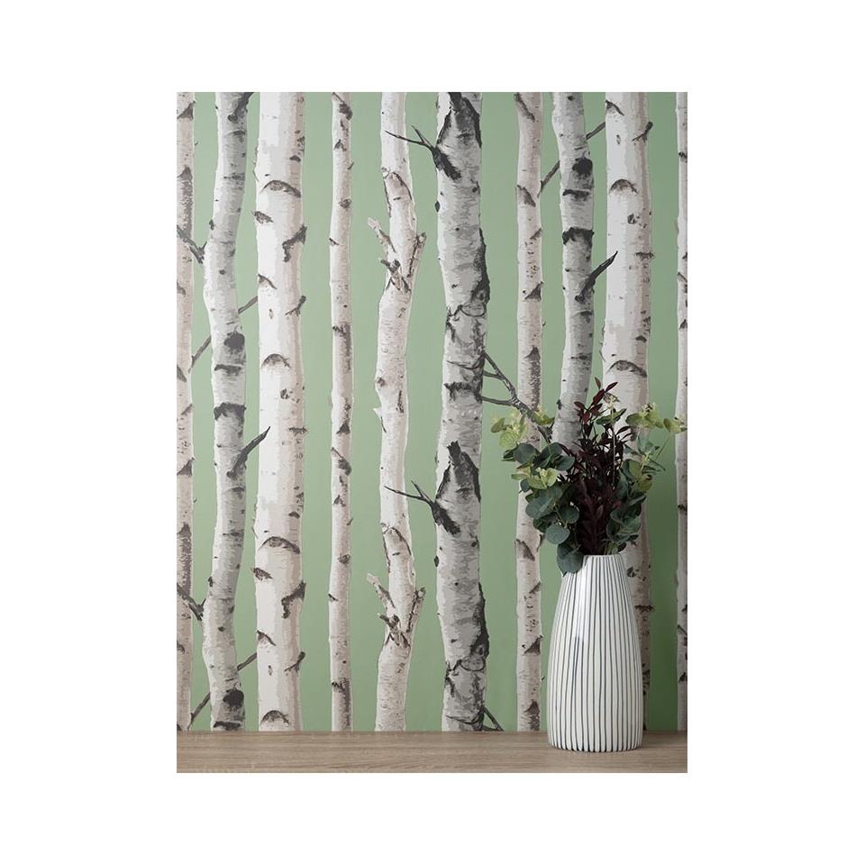 Fine Decor Woods Birch Tree Wallpaper FD43291 Sage